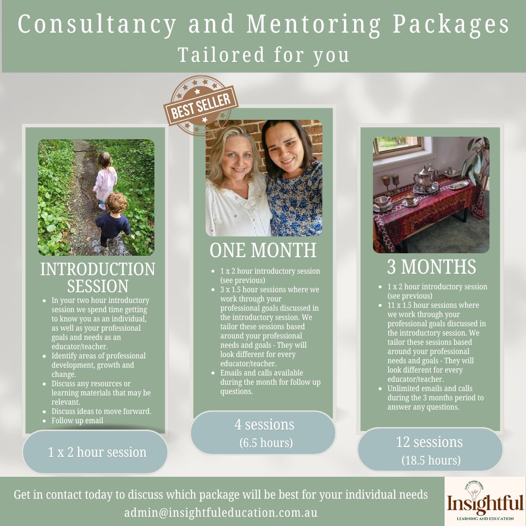 Consultancy and Mentoring – Insightful Education